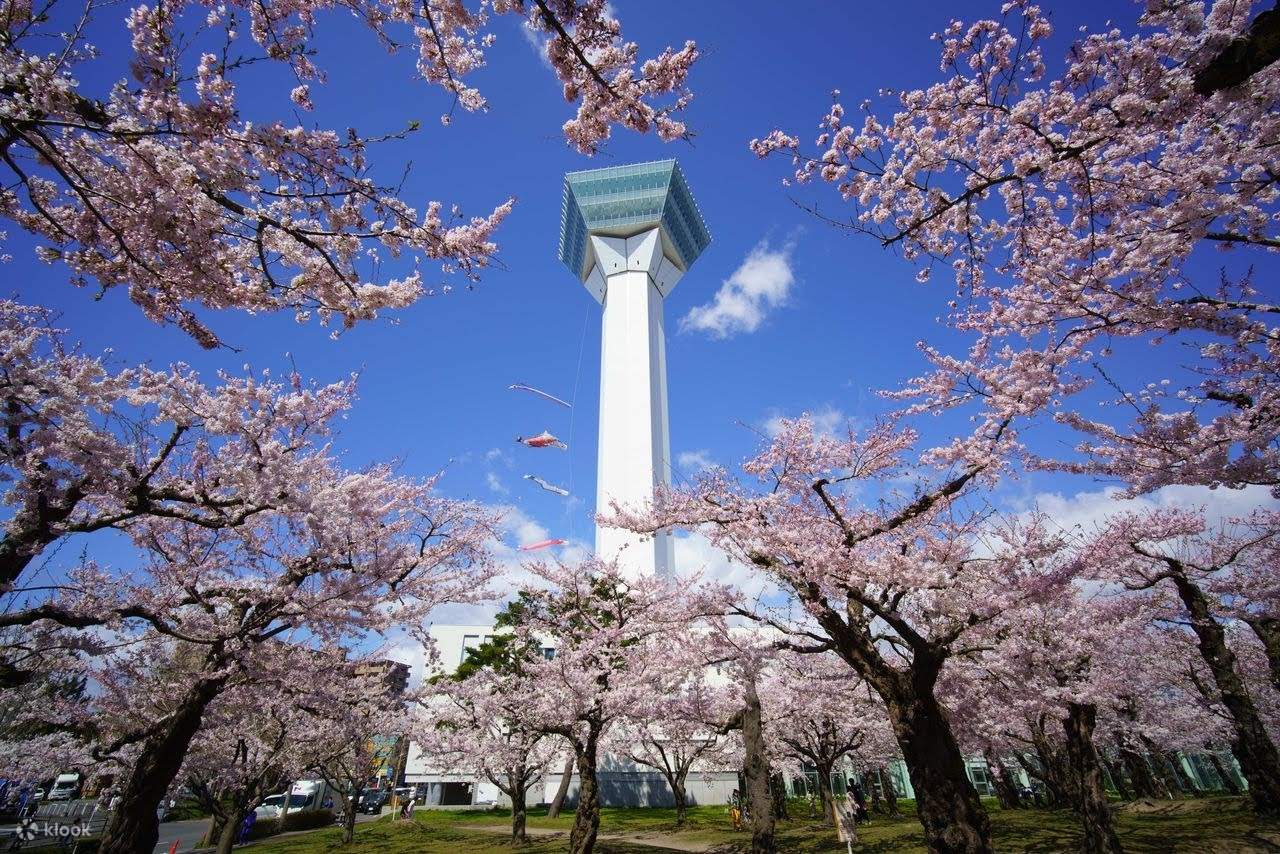 Hokkaido Hakodate Matsumae/Onumura Park 2-Day Tour [Will visit five ...